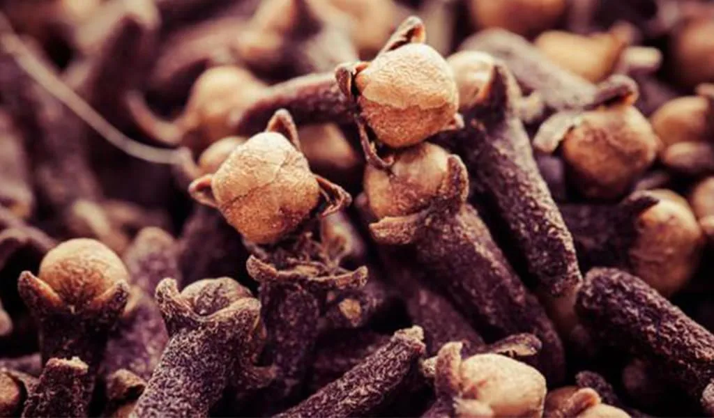 8 Manfaat Cengkeh Bagi Kesehatan! - Rumah Sakit Harum Sismamedika